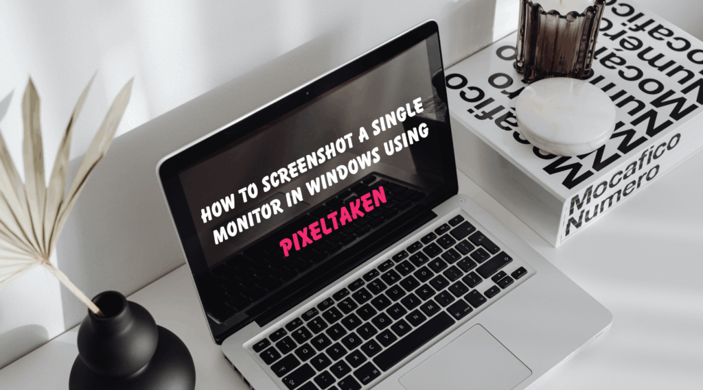 How to Screenshot a Single Monitor in Windows?